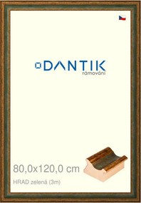 DANTIK rámeček 80x120 | HRAD zelená (Plexi Čiré)