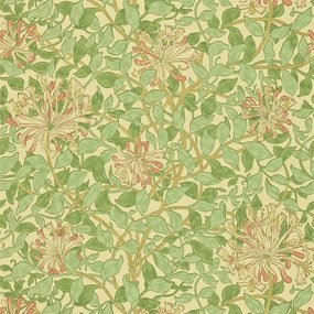 Tapeta HONEYSUCKLE 210435, kolekce COMPENDIUM I & II, green beige pink