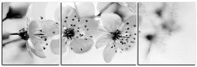 Obraz na plátně - Malé květy na větvi - panoráma 5173QC (90x30 cm)