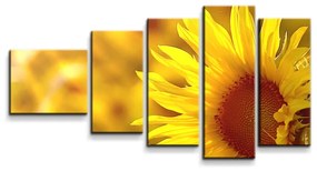 Sablio Obraz - 5-dílný Slunečnice 3 - 100x60 cm