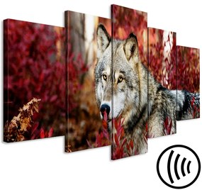 Obraz Rozvážný vlk (5dílný) široký