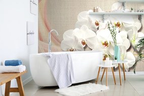Samolepící tapeta bílá orchidej na plátně