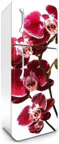 Fototapeta na lednici Orchid 65 x 180 cm FR180-014