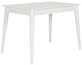 Adore Furniture | Jídelní stůl 77x110 cm bílá | AD0048