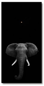 Wallmuralia Nástěnné hodiny tiché Africký slona 30x60 cm