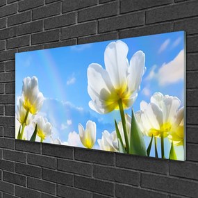 Obraz na skle Rostliny Květiny Tulipány 140x70 cm