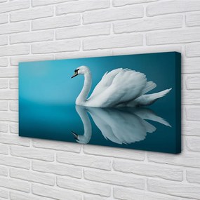 Obrazy na plátně Swan ve vodě 140x70 cm