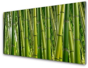 Obraz na skle Bambusový Les Bambusové Výhonky 125x50 cm