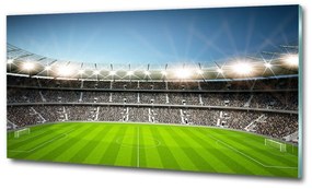 Wallmuralia Moderní skleněný obraz z fotografie Stadion 100x50