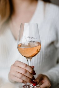 Bella Rose Sklenice na víno Nechlastám, degustuji, čirá barva, sklo, 350 ml