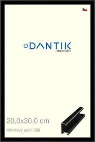 DANTIK rámeček 20x30 | ALU profil 7269 Černá lesklá (Sklo Čiré)