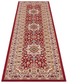 Nouristan - Hanse Home koberce Kusový koberec Mirkan 104103 Red ROZMĚR: 160x230