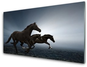 Obraz na skle Koně Zvířata 140x70 cm