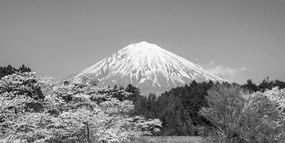 Obraz hora Fuji v černobílém provedení - 100x50 cm