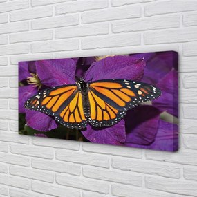 Obrazy na plátně Barevný motýl květiny 140x70 cm