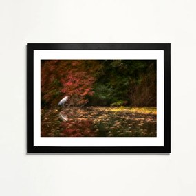 Jiří Hřebíček | Silent Autumn Admirer Rám: Černý, Velikost: 30 x 40 cm