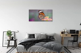 Obraz na skle Barevný motýl květina 120x60 cm