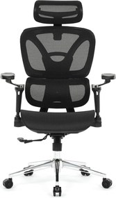 Ergonomická kancelářská židle FORCE - černá síťovina