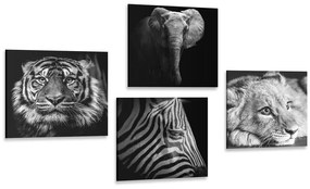 Set obrazů divoká zvířata v černobílém provedení