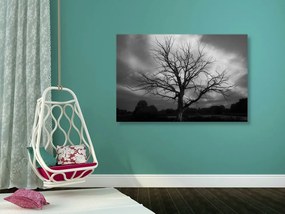 Obraz černobílý strom na louce - 120x80 cm