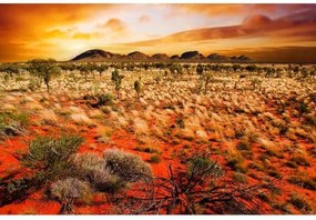 Vliesové fototapety na zeď Austrálie | MS-5-0050 | 375x250 cm