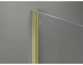 Mexen, Mexen Kioto-X sprchová stěna 110 x 200 cm, průhledná 10 mm, zlatý kartáč - 800-110-101-55-00-X