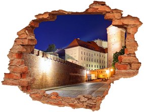 Wallmuralia Fototapeta díra na zeď 3D Krakov Polsko 90x70 cm