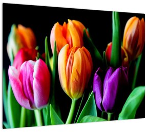 Skleněný obraz tulipánů na černém pozadí (70x50 cm)