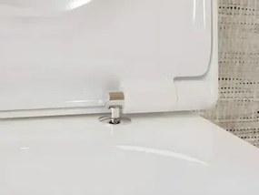 Hansgrohe WC sedátko bílá / WC sedátko / Plast / S poklopem / QuickRel