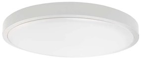 LED Koupelnové stropní svítidlo LED/18W/230V IP44 3000K pr. 25 cm bílá