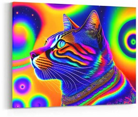Obraz barevná psychedelická kočka