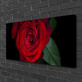 Obraz na plátně Růže 125x50 cm