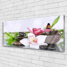 Plexisklo-obraz Orchidej Kameny Bambus 125x50 cm