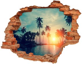 Wallmuralia Díra 3D ve zdi nálepka Západ slunce palmy 90x70 cm