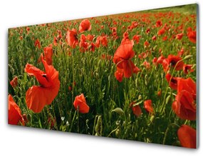 Obraz na skle Máky Rostlina Příroda 140x70 cm