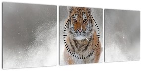 Obraz běžícího tygra ve sněhu (s hodinami) (90x30 cm)