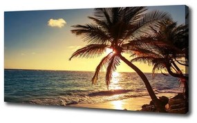 Obraz na plátně - Palmy u moře 100 x 50 cm