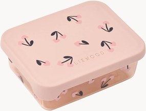 Dětský box na svačinu Ako