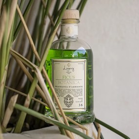 Logevy Firenze 1965 difuzér Ficus Botanica Objem: 250 ml