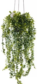 Umělá rostlina SENECIO, závěsná, 60 cm