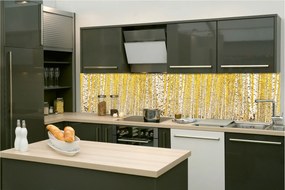 DIMEX | Fototapeta do kuchyně Žlutý březový háj KI-260-197 | 260 x 60 cm | žlutá, černá, bílá