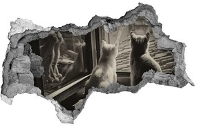 Wallmuralia Díra 3D fototapeta nálepka Kočky u okna 95x73 cm