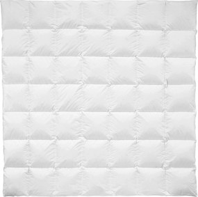 XXXLutz CELOROČNÍ PŘIKRÝVKA, 200/200 cm, prachové peří Billerbeck - Přikrývky - 003279008303
