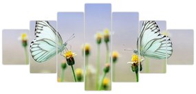 Obraz motýlů na květině (210x100 cm)