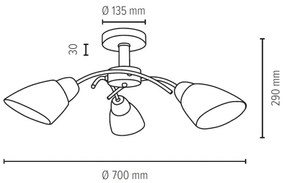 Spot-Light 8141374 - Přisazený lustr VILETTA 3xE27/60W/230V