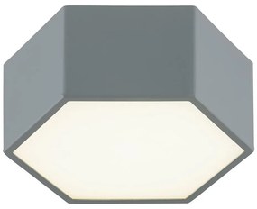 Argon 8784 - LED Stropní svítidlo LIBERO LED/12W/230V 3000K šedá