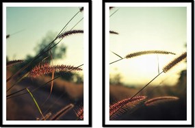 Obraz Plakáty V Rámu 53x73 cm Diptych Sada 2 obrazů Trávy Boho P2176