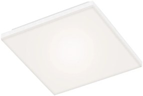 Briloner 7378216 - LED Stmívatelný panel LED/38W/230V 3000-6500K + DO