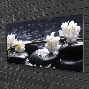 Obraz na skle Květ Kameny 120x60 cm