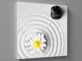 Liox Bílý obraz leknín Rozměr: 100 x 100 cm